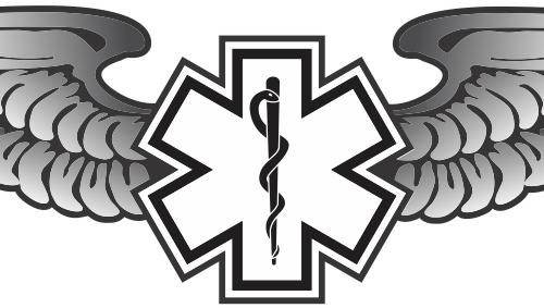 Download Wg#008 S2 Wings Rod Of Asclepius - Star Of Life Snake - Full ...