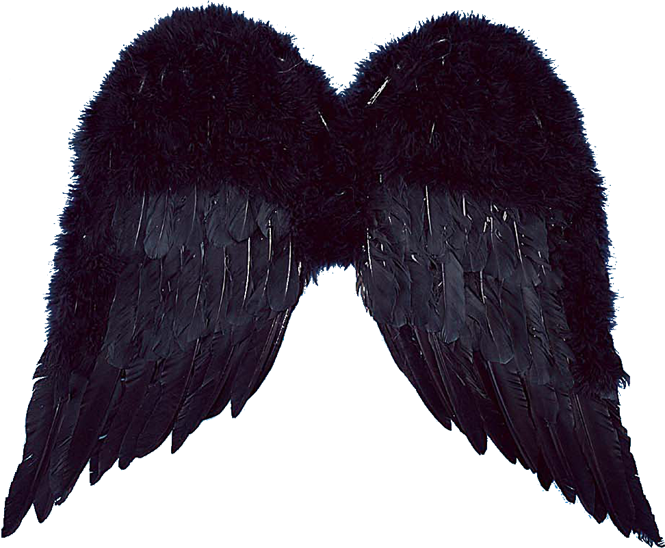 Download Transparent Realistic Angel Wings Png For Kids - Png Edit ...