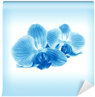 Download Beautiful Pink Orchid And Hi Note Cards (pk Of 20) - Full Size ...