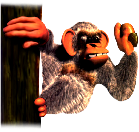 Download Diddy Kong And Dixie Kong Costume - Donkey Kong 3 Country ...