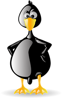 Download Penguin Tux Animal Bird Black Beak Zoo Lin - Linux Tux Penguin ...