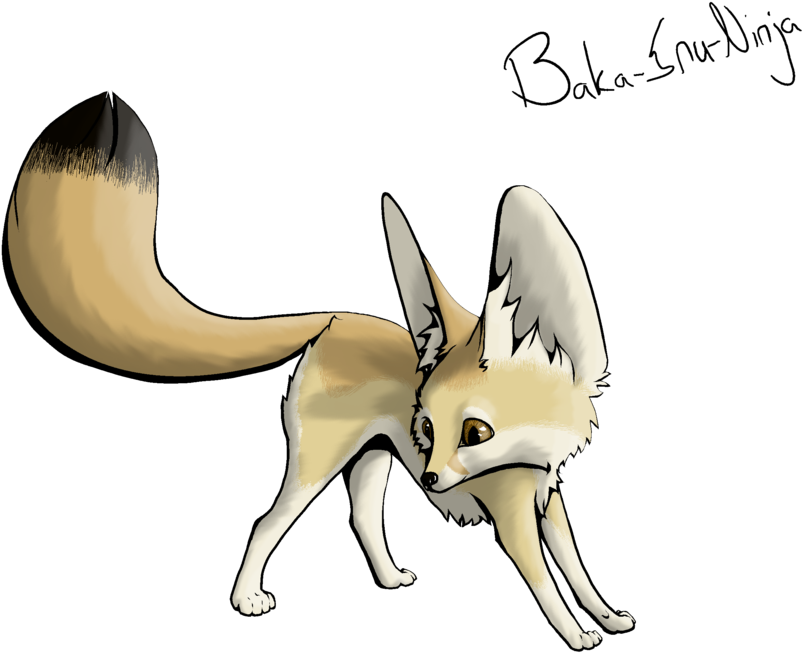Download Fennec Fox Transparent Png - Easy Fennec Fox Drawings - Full ...