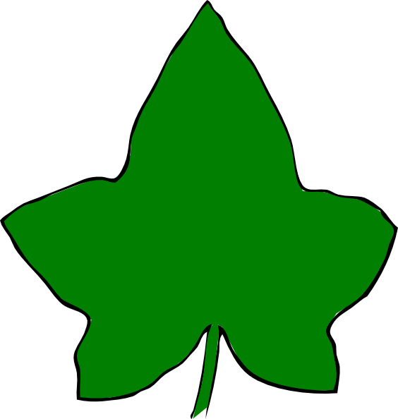 Download Small - Ivy Leaf Alpha Phi - Full Size PNG Image - PNGkit