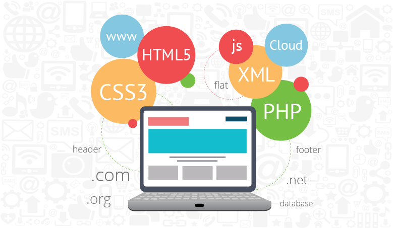 Download Software Developer Png Custom Software Solutions Software ...