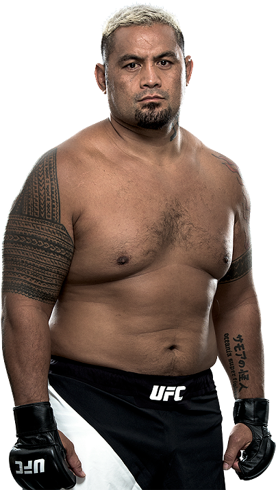 Download Mark Hunt - Ufc Fight Night 136 Hunt Vs Oliynyk - Full Size ...