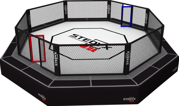 Download Ufc Cage Png - Ring Boxing Octagon - Full Size PNG Image - PNGkit