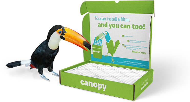 Download Canopy Air Filter - Full Size PNG Image - PNGkit