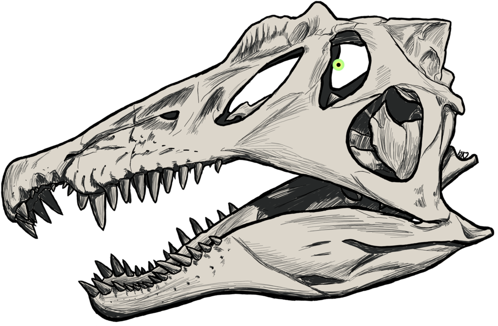 Download Inktober Catch - Spinosaurus - Full Size PNG Image - PNGkit