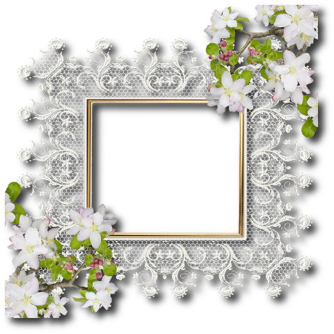 Download Apple Blossom Lace Frame Overlay - Lace - Full Size PNG Image ...