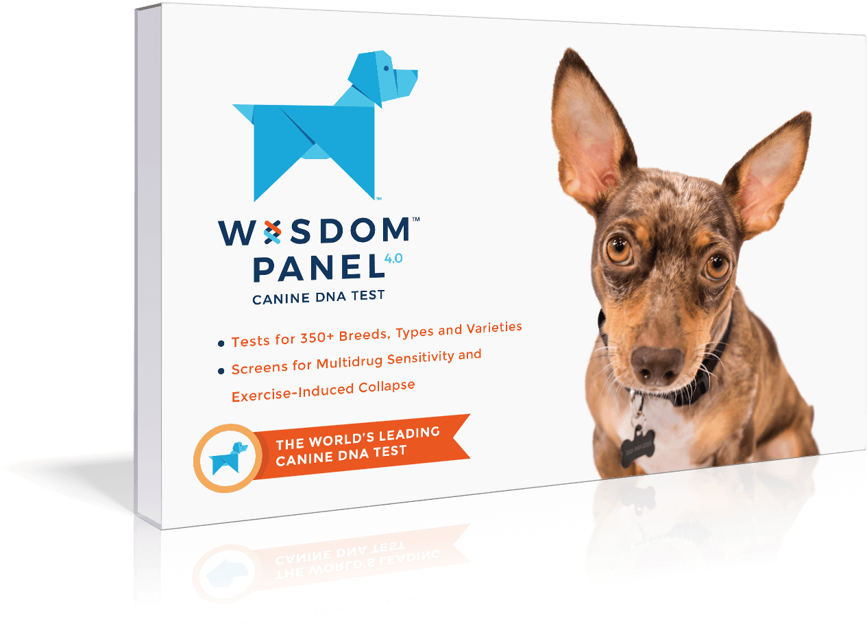 Download Wisdom Paneltm - Wisdom Panel 4.0 - Full Size PNG Image - PNGkit