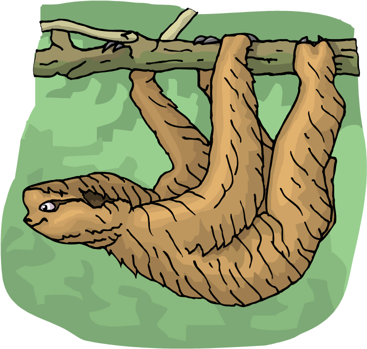 Download Sloth Tree Frog Clipart Hostted - Clip Art - Full Size PNG ...