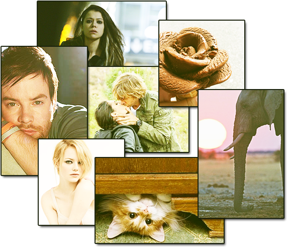 Download Welcome To The Kelly Clarkson Board Off Topic Thread - Shelley ...