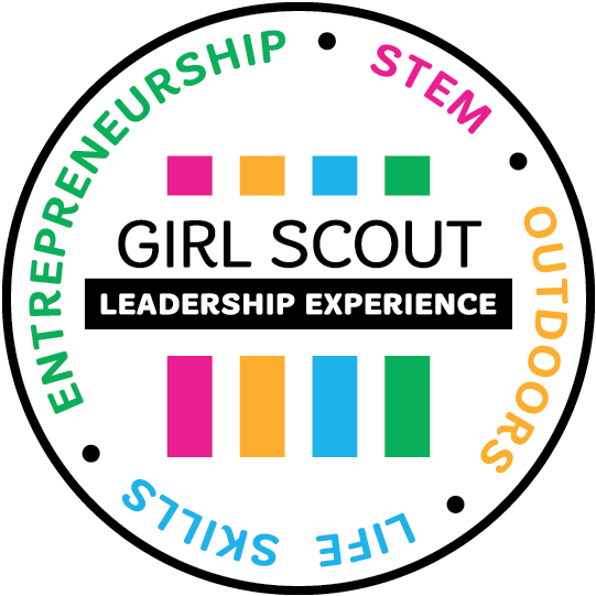 Download Gsctx Four Focus Areas Logo - New York State Engineering Stamp ...