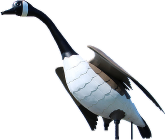 Download 37663478512 7ae81180b0 B-1 - The Wawa Goose - Full Size PNG ...