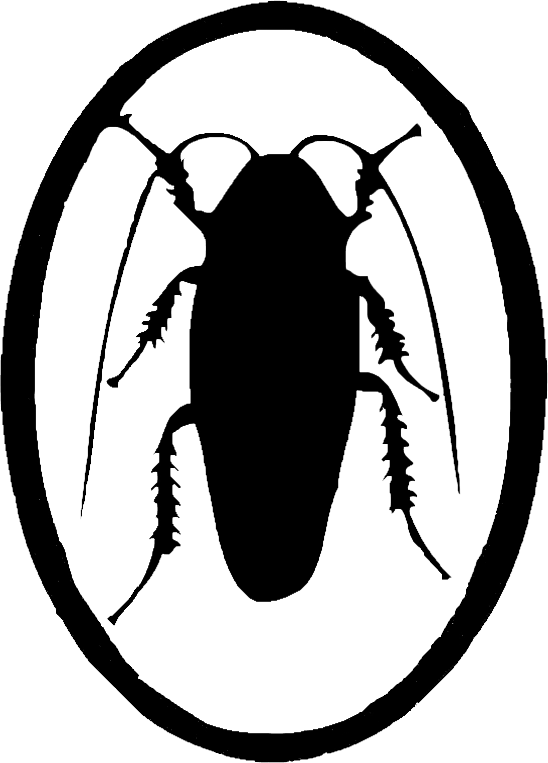 Download Butterfly And Cockroach - Full Size PNG Image - PNGkit