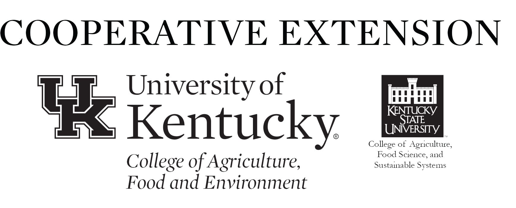 Download Ricoh Usa Logo Transparent - Full Size PNG Image - PNGkit