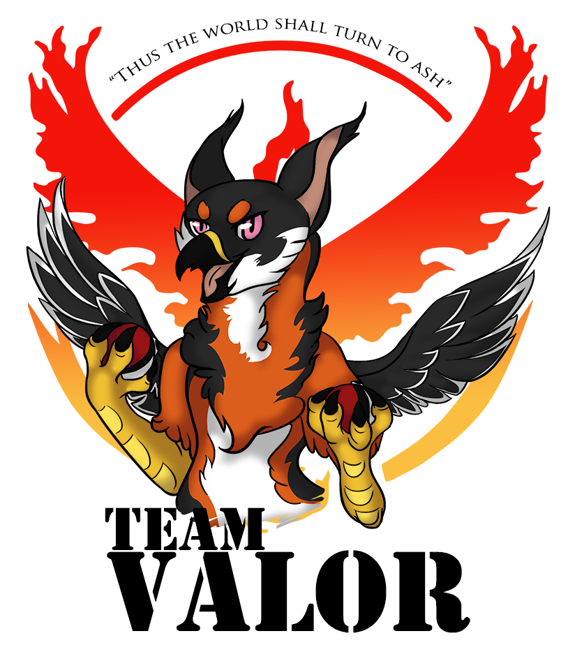 Download Team Valor - Team Valor Black - Full Size PNG Image - PNGkit