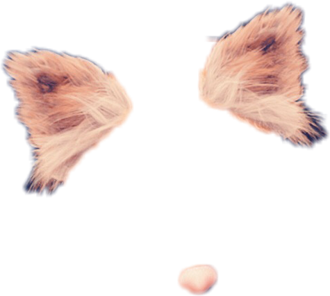 Download Transparent Wolf Dog Filter Snapchat Socialmedia Stickers ...