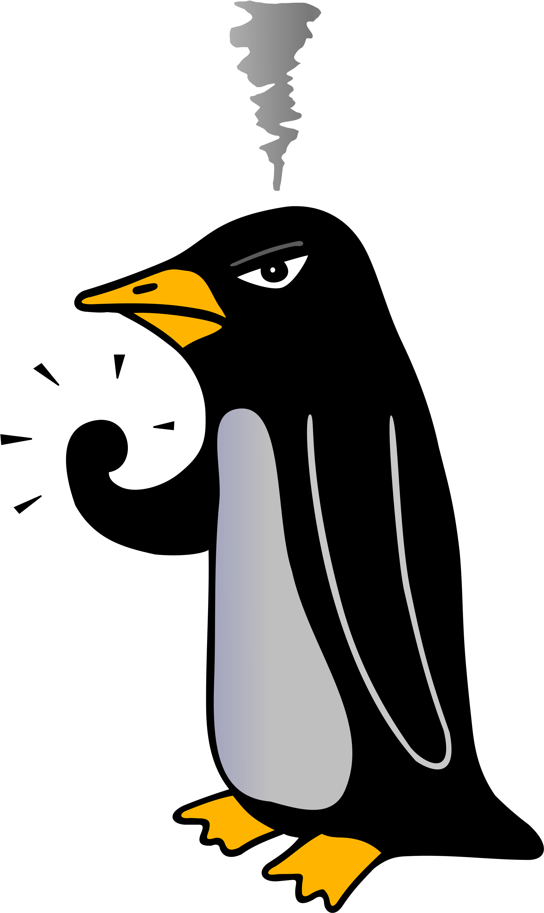Download Angry But Why - Angry Penguin - Full Size PNG Image - PNGkit