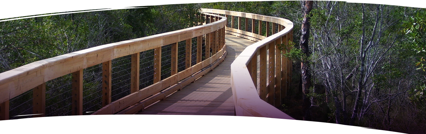 Download Specializing In Top-down Bridge Construction Through ...