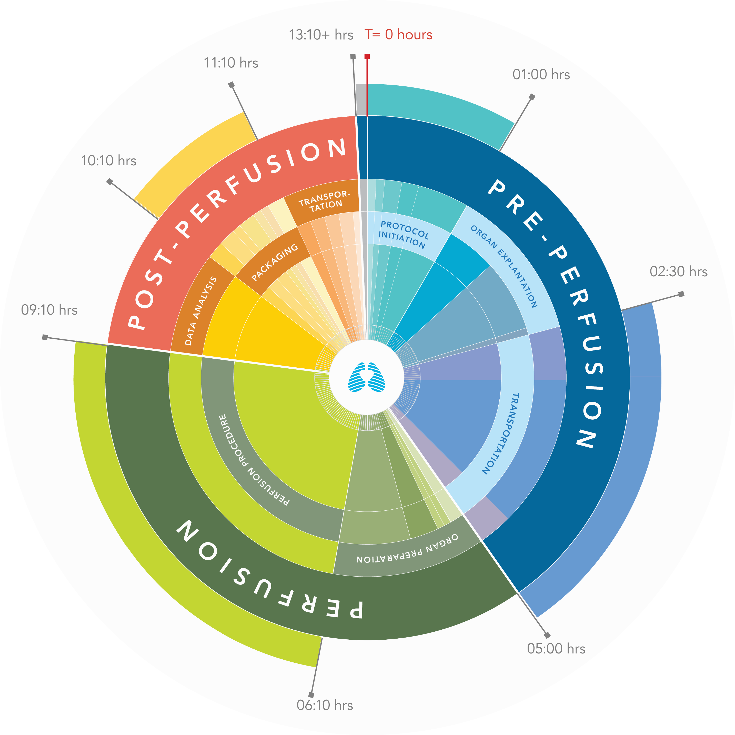 Download Timeline - Florence-graham - Full Size PNG Image - PNGkit