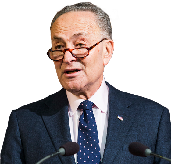 Download Schumer Calls For Federal Probe Into Increase In Toddler ...