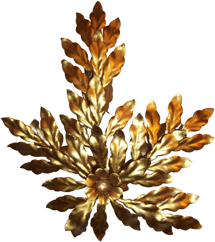 Download Oak Leaf - Tree - Full Size PNG Image - PNGkit
