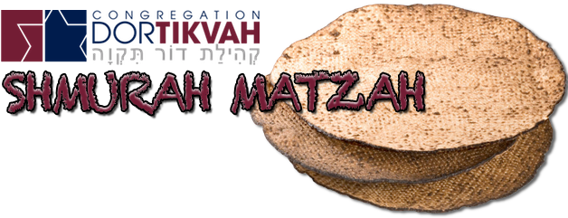 Download Order Shmurah Matzah For Passover From Congregation - Ahuva ...