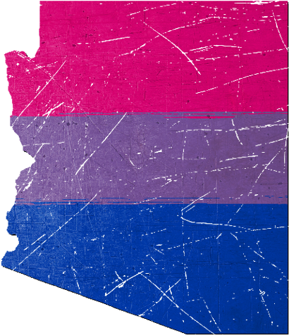 Download Arizona Silhouette Bisexual Pride Flag - Arizona Bisexual ...