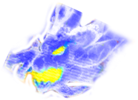 Download Balgar - Wiki - Full Size PNG Image - PNGkit