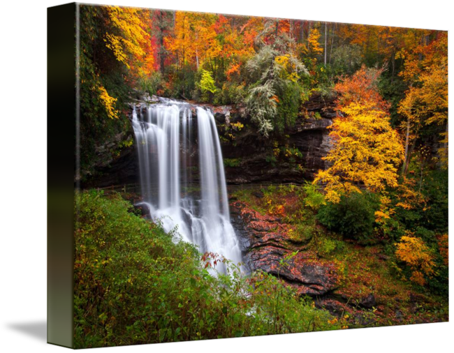 Download Vector Black And White Autumn At Dry Falls Highlands - Dry ...