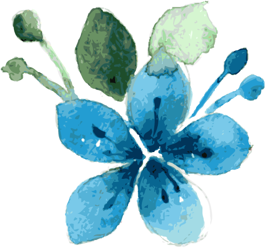 Download Blue Flower Watercolor By Zerrineart - Blue Floral Watercolor ...