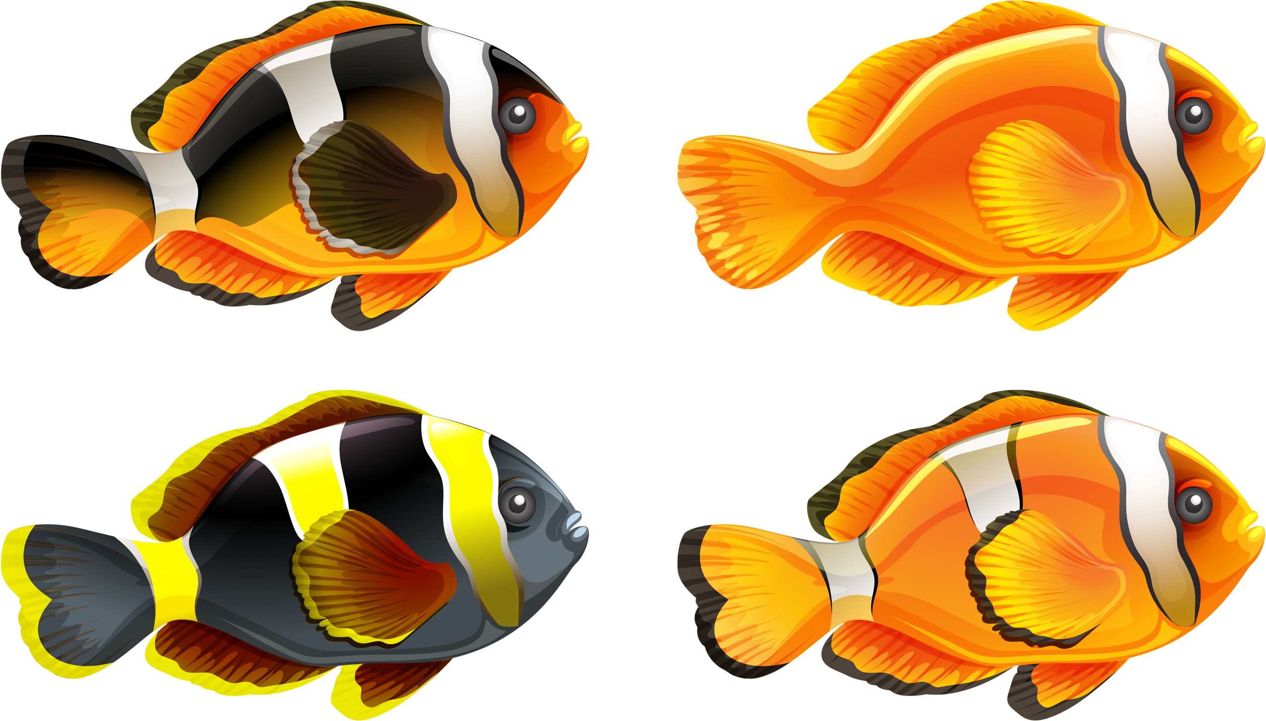 Download Picture Library Png Pinterest Fish Clip Art And - Fish - Full ...