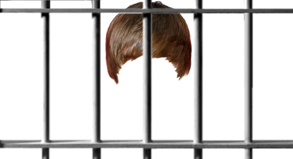 Download Overlayrecorder Transparent Jailbar Overlay - Jail Bar Clipart ...