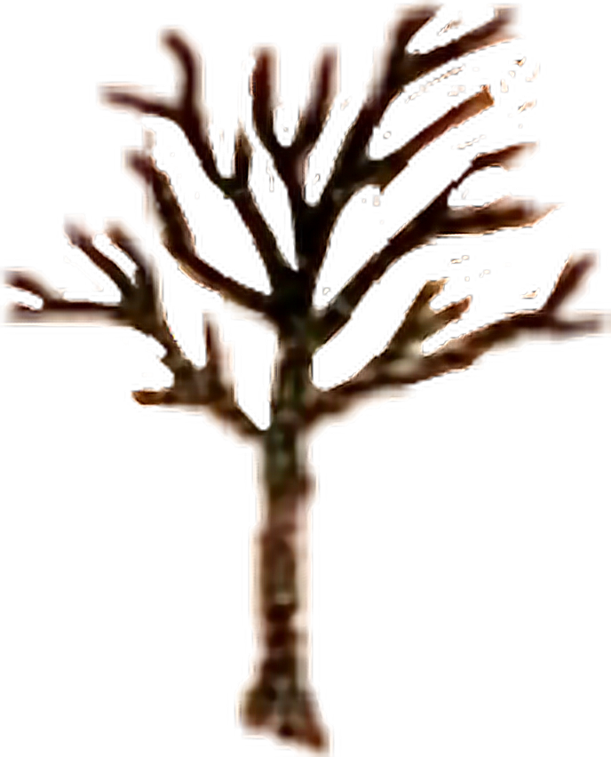 Download Report Abuse - Xxxtentacion Tree - Full Size PNG Image - PNGkit