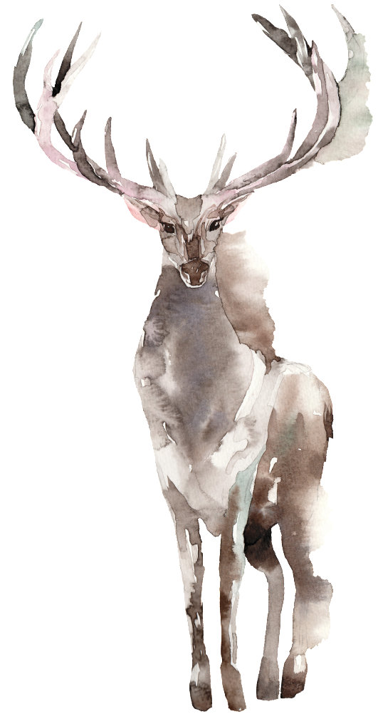 Download Creative Elk Design Transparent Watercolor - Design - Full ...