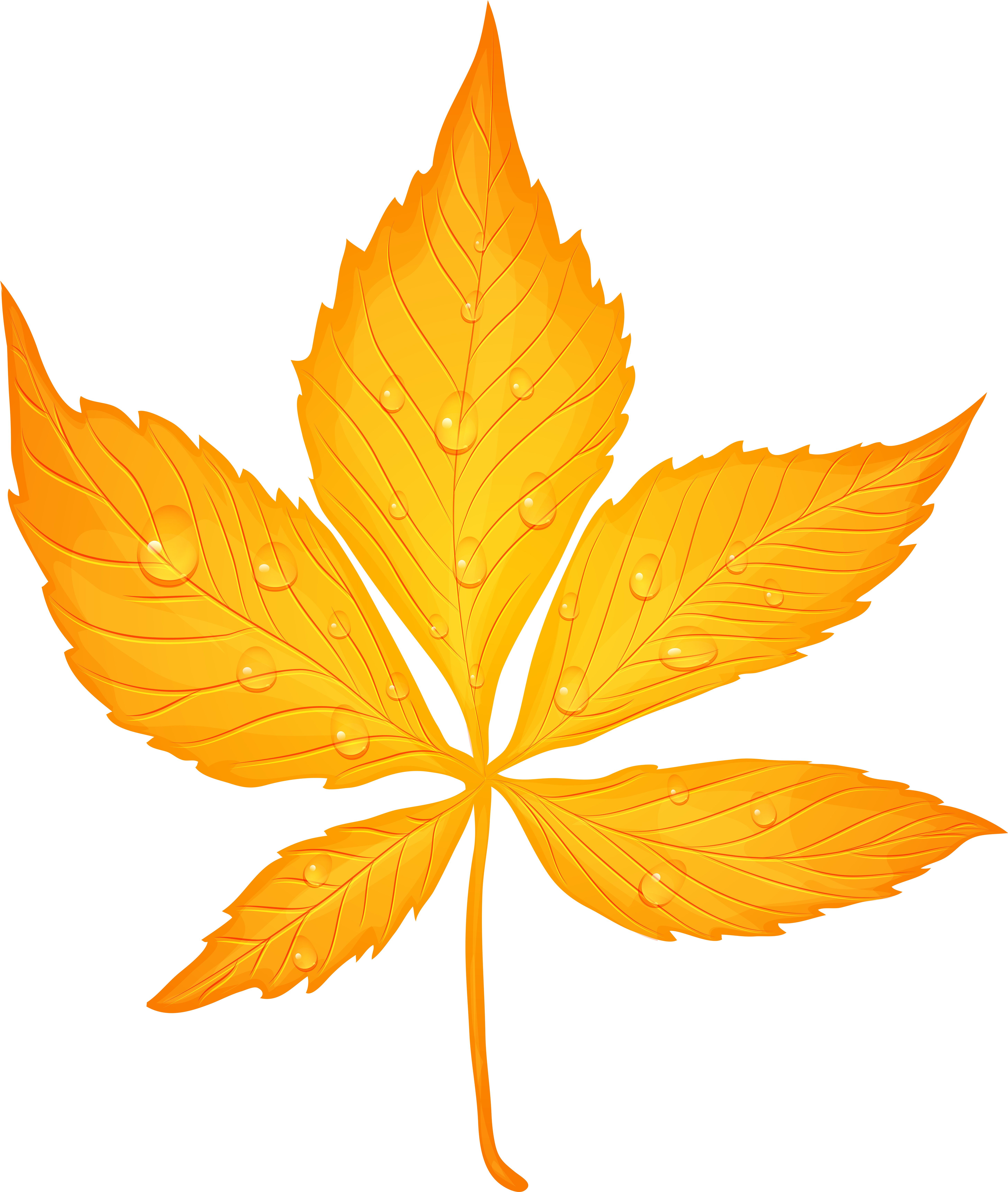 Download Transparent Yellow Autumn Leaf With Dew Drops Transparent Png ...