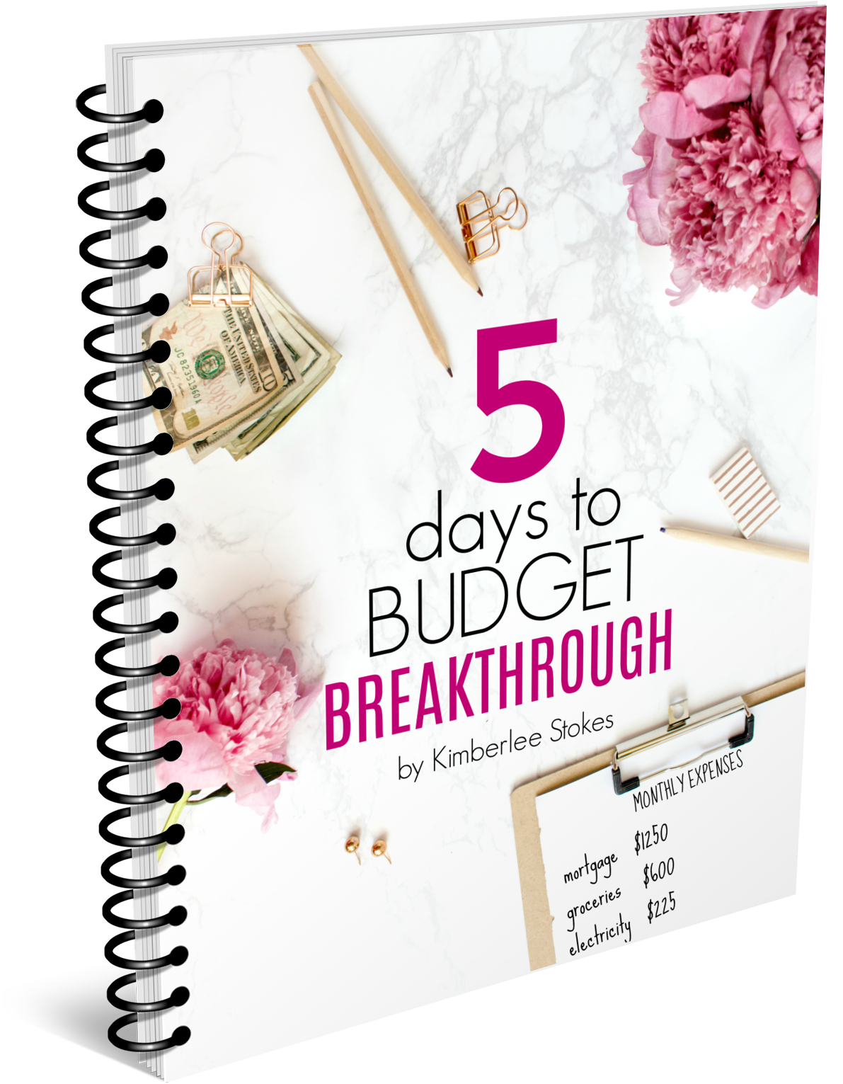 download-5-days-to-budget-breakthough-spiral-notebook-copyright
