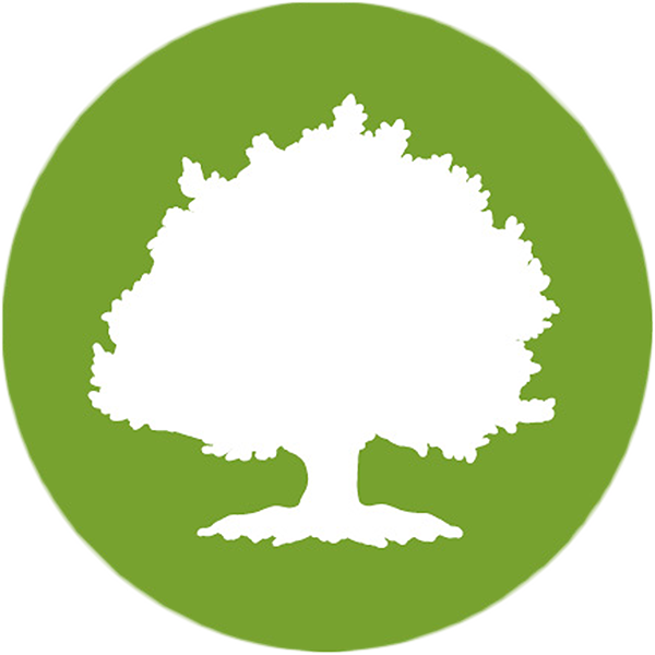 Download Large Tree - Oak Street Health Logo - Full Size PNG Image - PNGkit