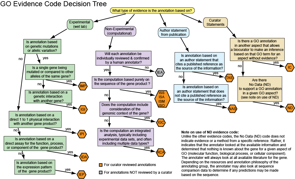 Download Transparent Evidence Codes Flowchart - Flowchart - PNGkit