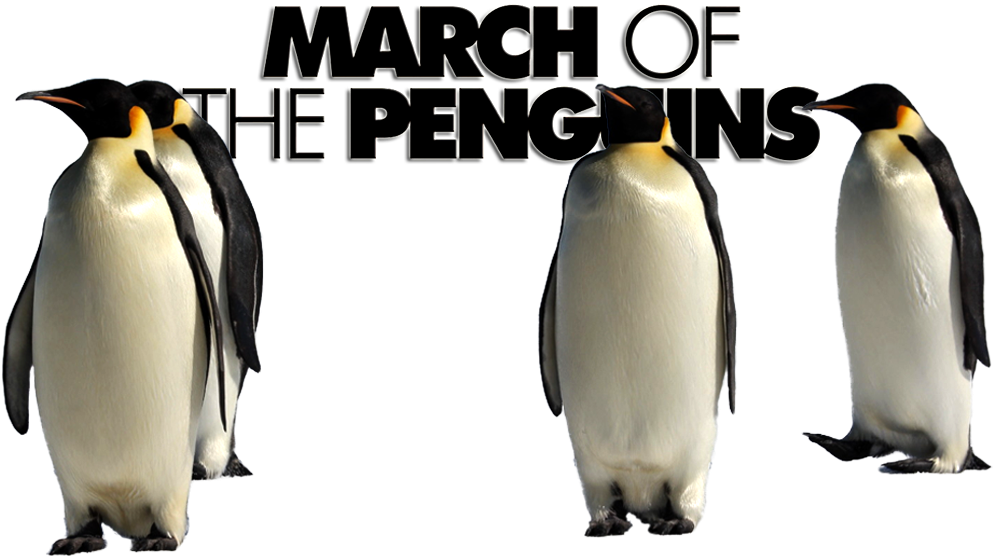 Download March Of The Penguins Image - March Of The Penguins Png - Full ...