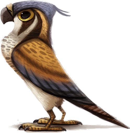 Download Falcon - Peregrine Falcon Drawing Cartoon - Full Size PNG ...