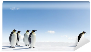 Download Emperor Penguin Rejected By Other Penguins Wall Mural - Fomo ...