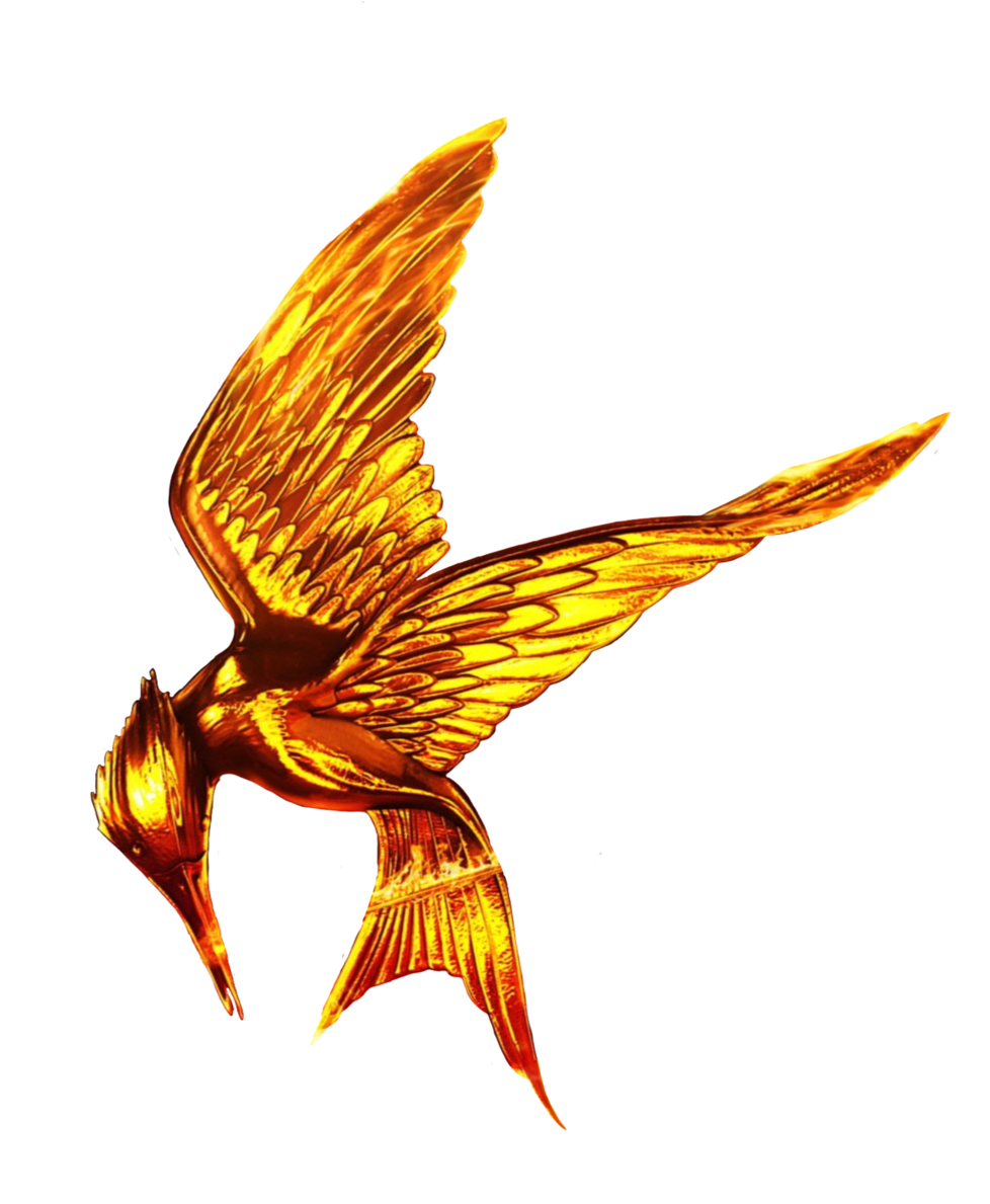Download Hunger Games Tumblr Transparent - Hunger Games Transparent ...