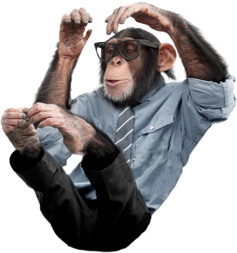 Download Chimp - Chimp Png - Full Size PNG Image - PNGkit