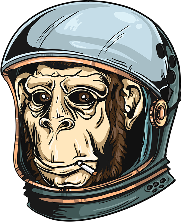 Download Space Chimp - Full Size PNG Image - PNGkit