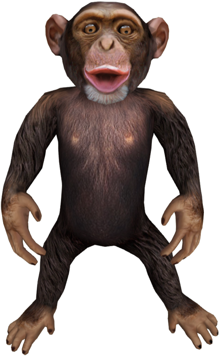 Download Chimp - Common Chimpanzee - Full Size PNG Image - PNGkit