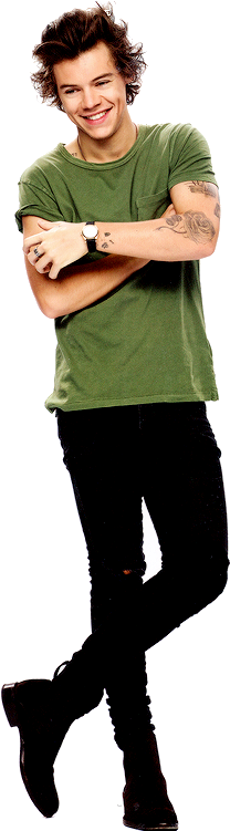 Download I Love Harry Styles - Harry Styles Transparent Png - Full Size ...