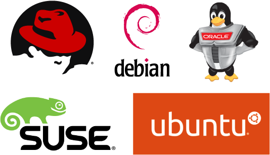 Download Supported Distributions - Oracle Linux Logo Png - Full Size ...