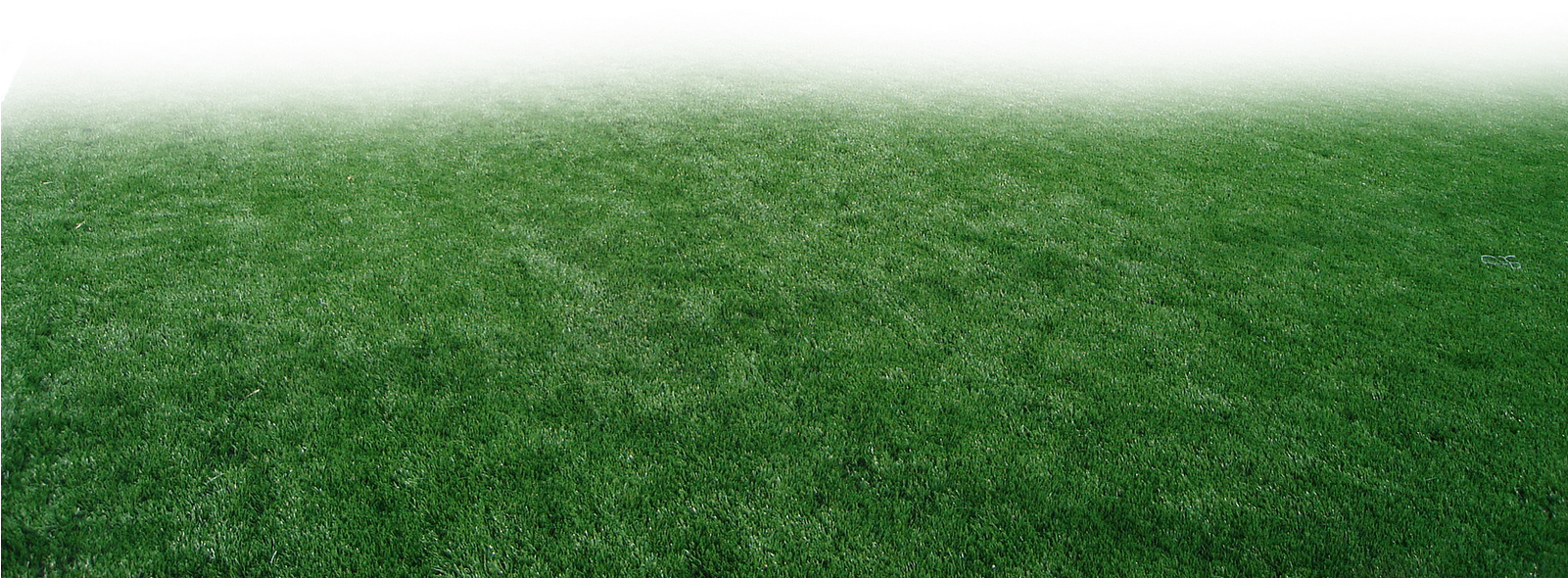 Download Pasto Y Estadios Png Para Walls - Lawn - Full Size PNG Image ...